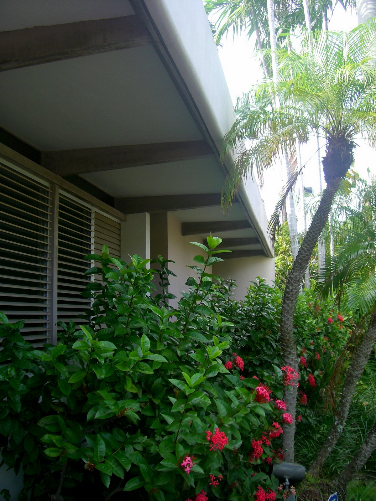 Welcome to Dan Duckham Architect :: Contact